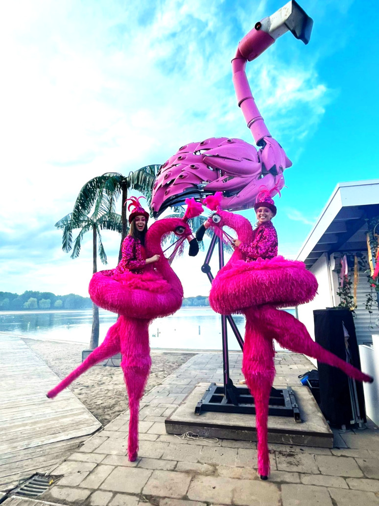 Funky Flamingo - Sense Theatre